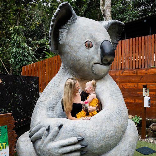 Kuranda Koala Gardens - At Kuranda Rainforest Village - Open Daily